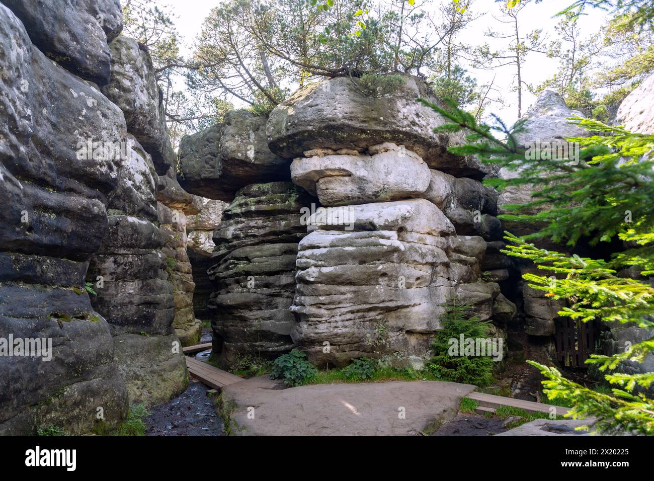 Rock formations and plank walkway in the Błędne Skały rock labyrinth ...