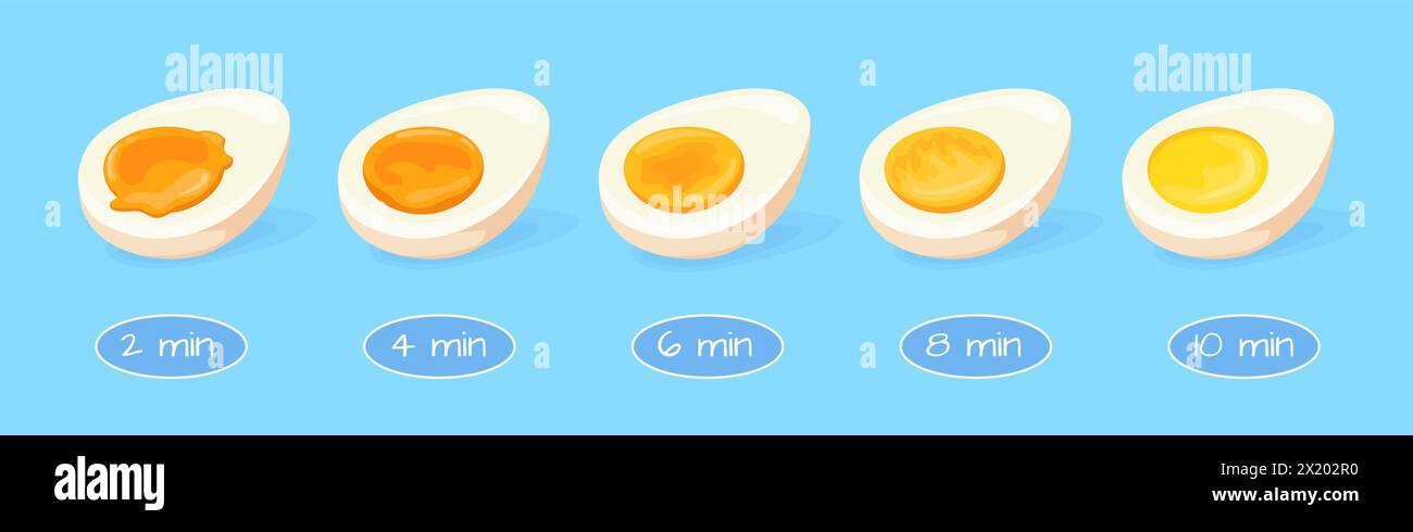 Boiling eggs time. Chicken boiled egg half cooking infographic, soft or hard cooked timing ...