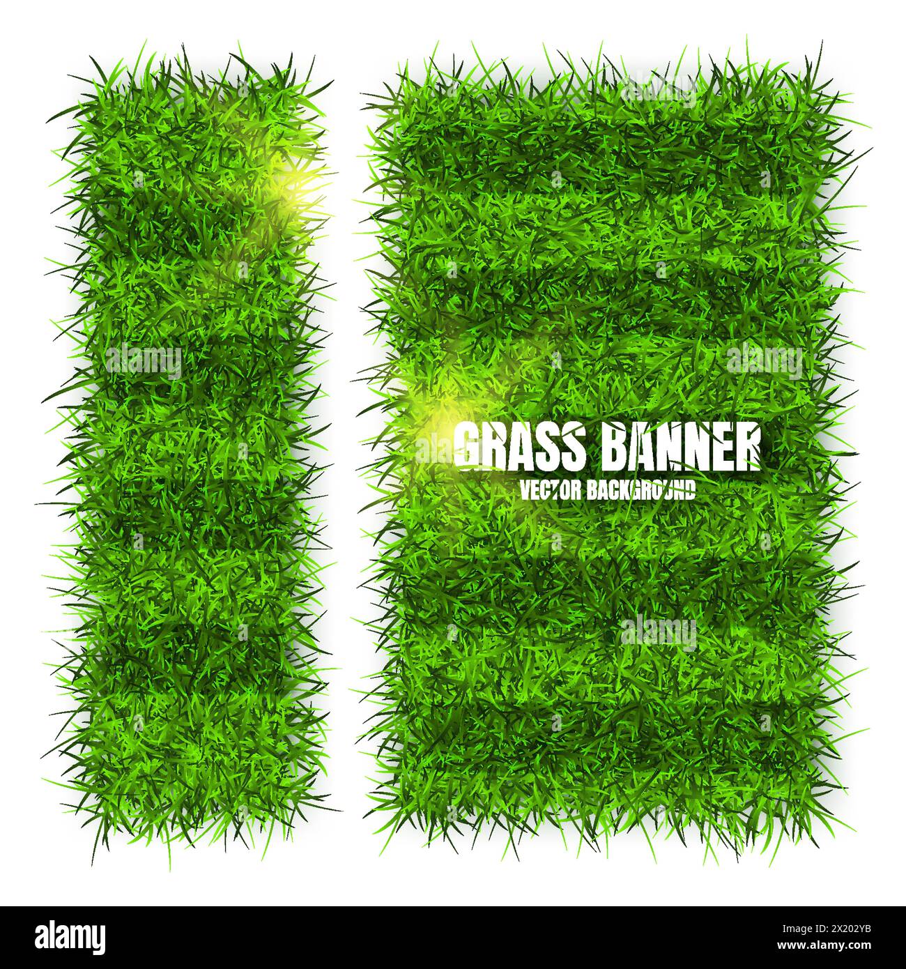 Green grass banners, background. Field, meadow texture, grassy ...