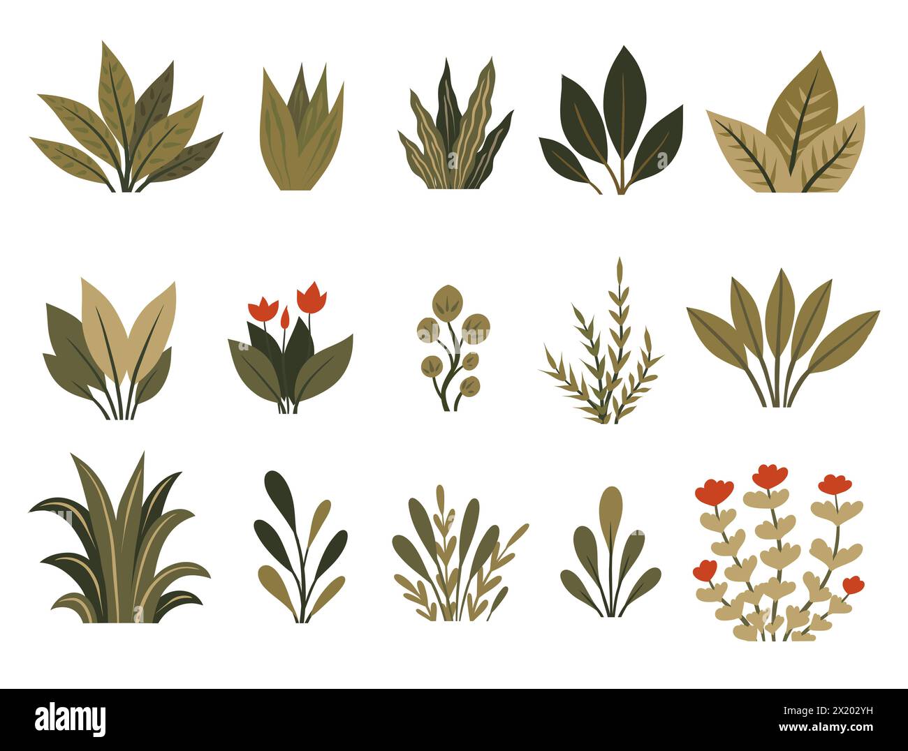 Vector set of green tropical plants and flowers isolated from ...