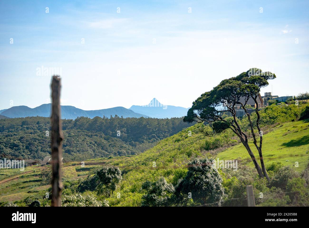Sri pada hi-res stock photography and images - Alamy
