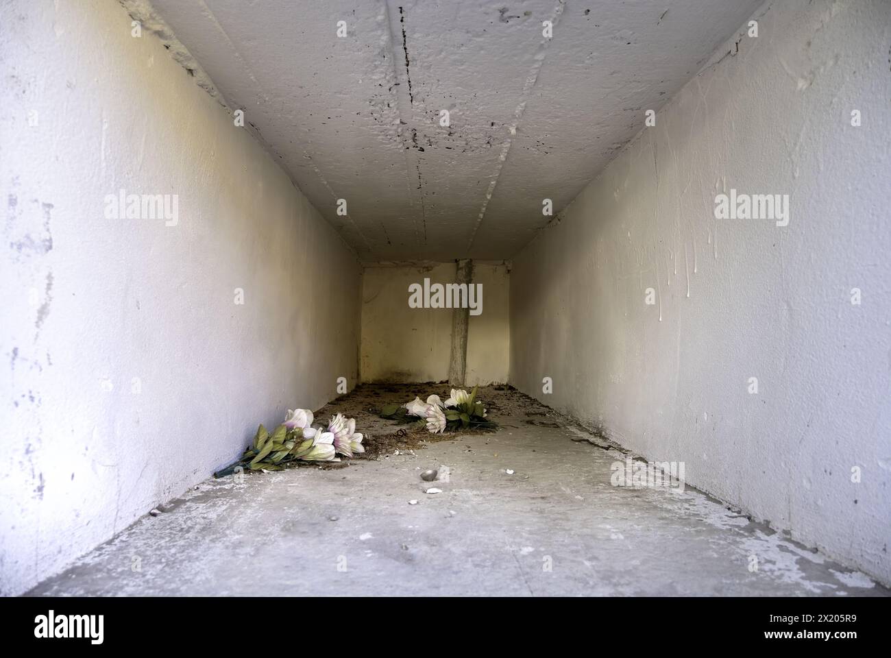 Detail of empty graves in an old cemetery Stock Photo - Alamy