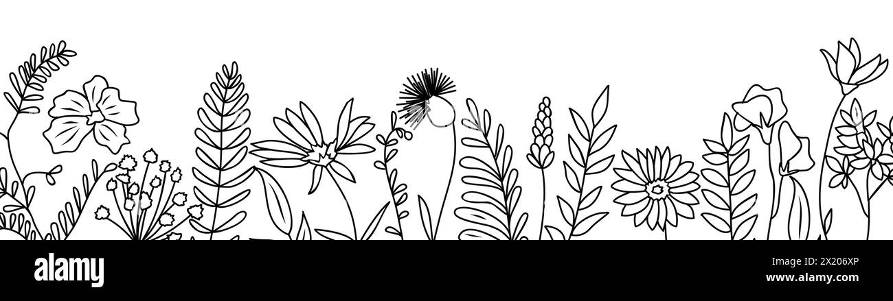 Wild blooming meadow flowers and herbs border Stock Vector Image & Art ...