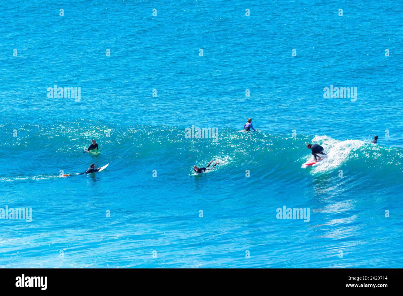 Surfers at Winkipop at Bells Beach on the Great Ocean Road in Australia ...