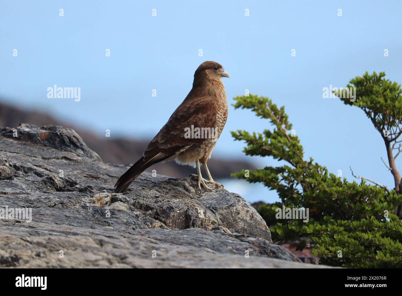 Chile; Southern Chile; Magallanes region; Mountains of the southern ...