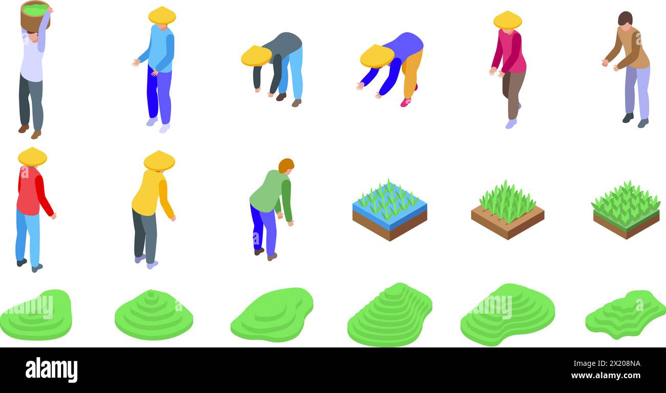 Green paddy terraces icons set isometric vector. Farm field. Cascade ...