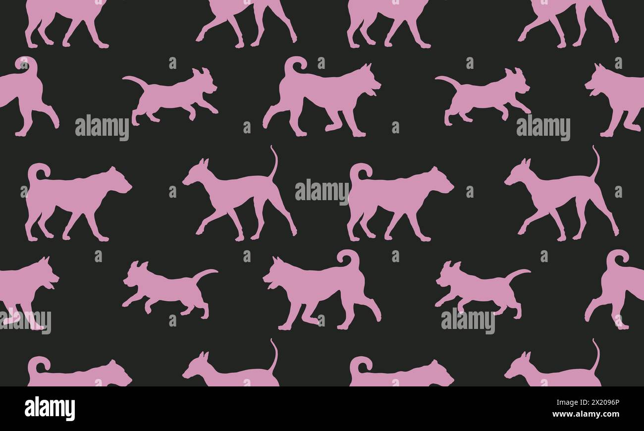 Different dogs in various poses. Isolated on a black background ...