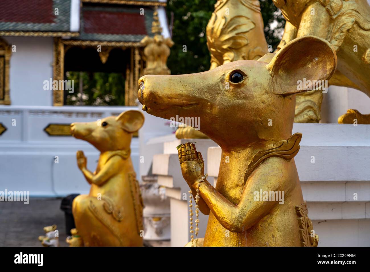 Rat statues guard the Buddhist temple Wat Phra That Si in Chom Thong ...