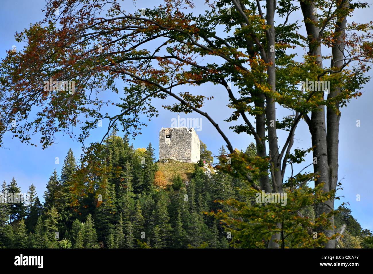 Falkenstein castle ruins above Pfronten, East Allgäu, Swabia, Bavaria ...