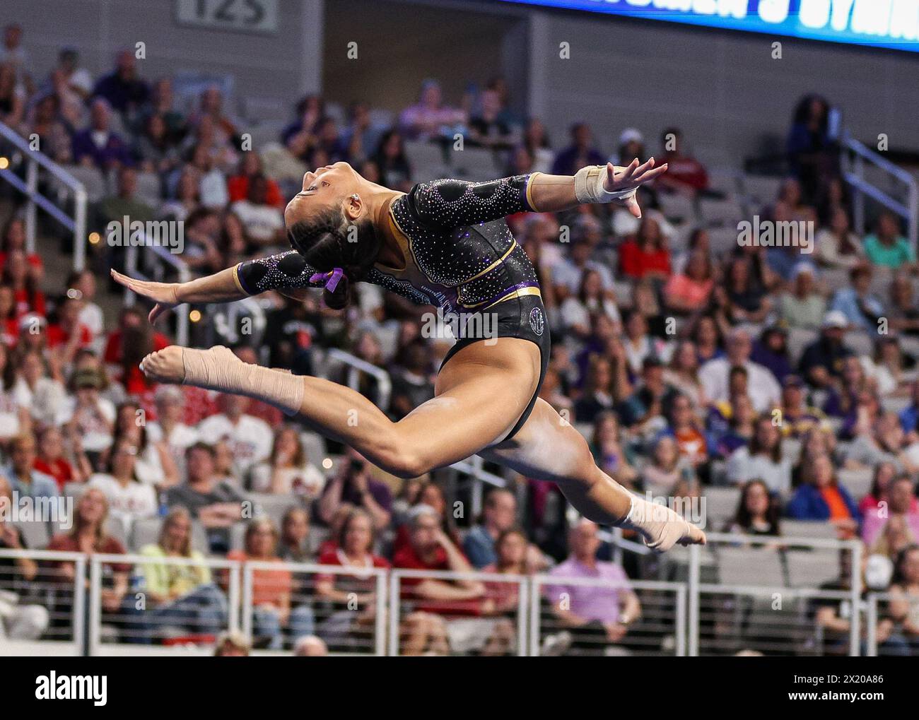 Aleah finnegan hi-res stock photography and images - Alamy