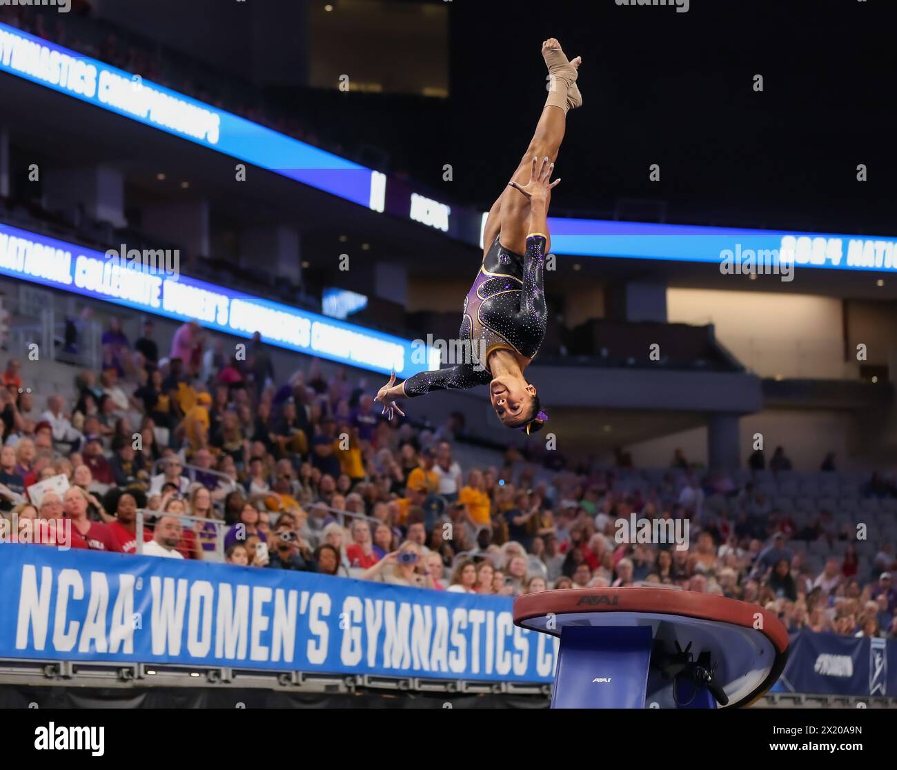 Fort Worth, TX, USA. 18th Apr, 2024. LSU's Haleigh Bryant competes on ...
