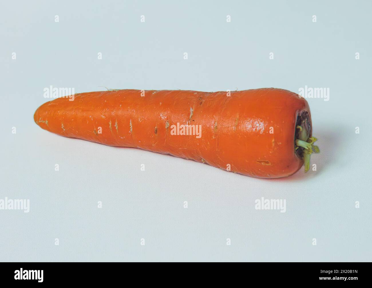 A close-up photo of one carrot with green leafy tops, sitting on a ...