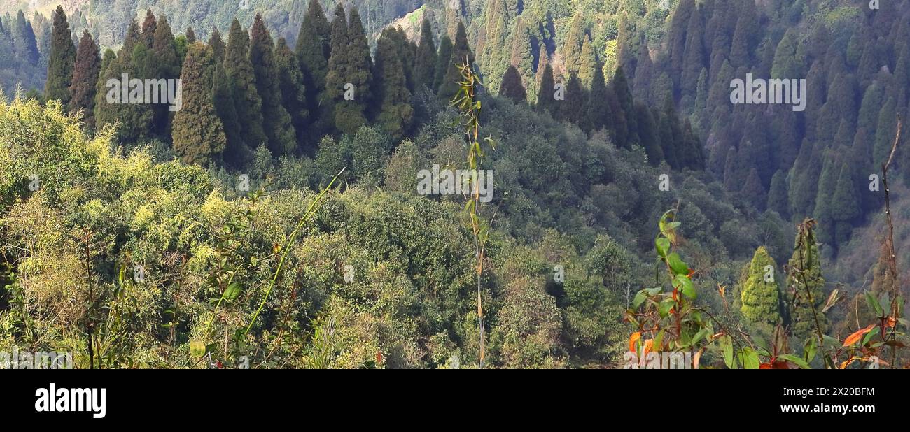 Lepcha jagat hi-res stock photography and images - Alamy