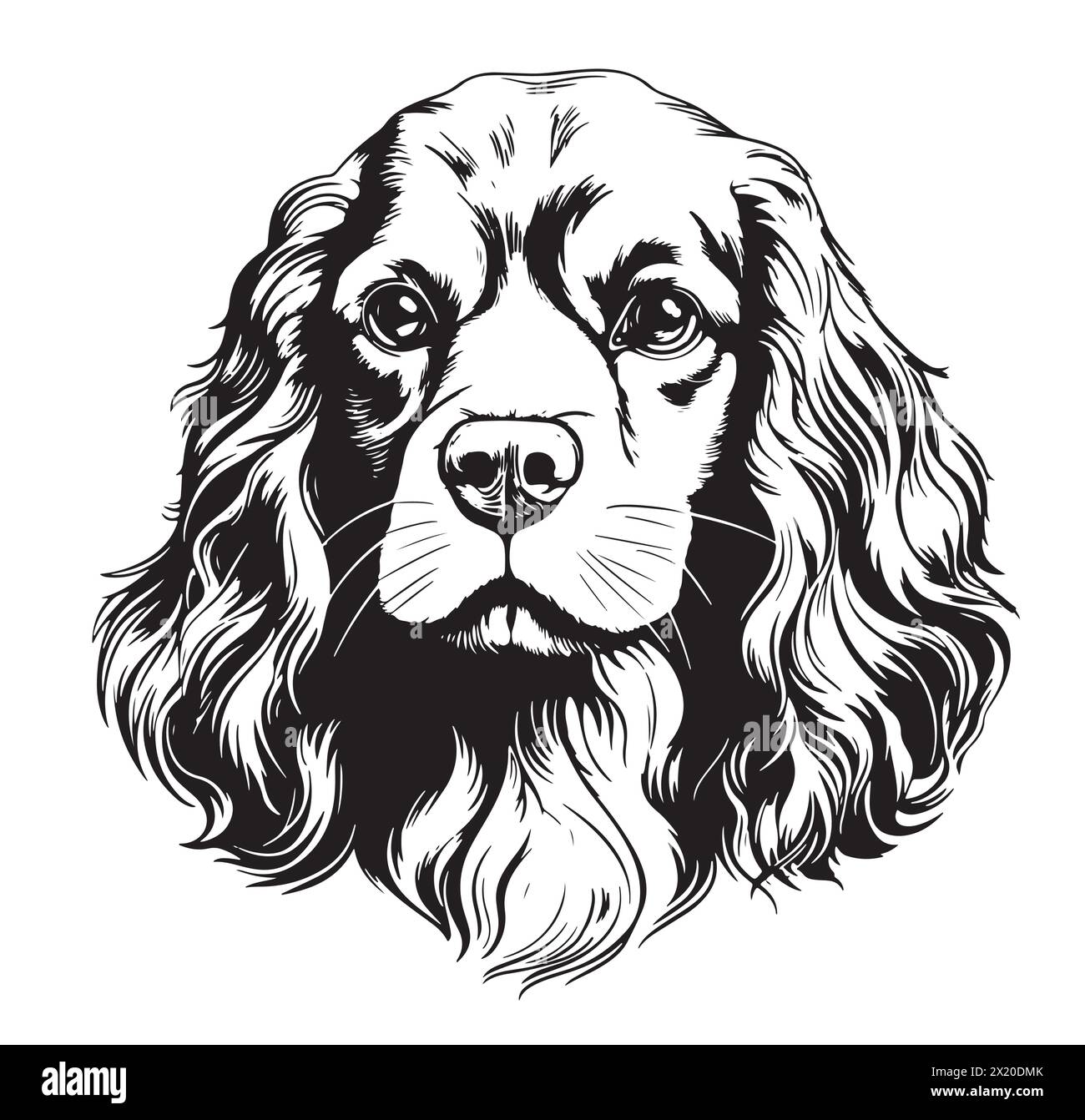 A stunning black and white drawing of a Cocker Spaniel, a dog breed ...