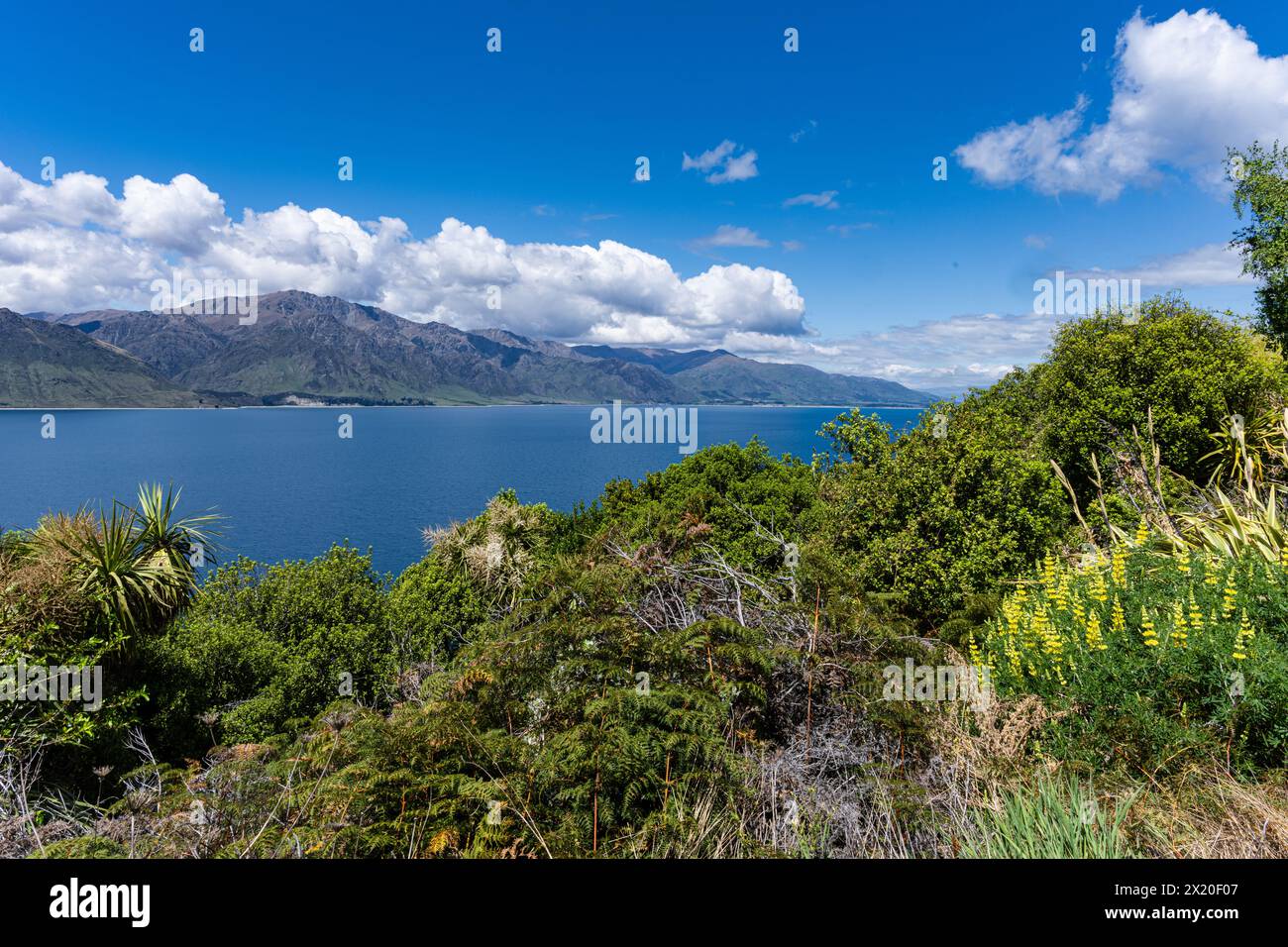 Views of Lake Wanaka from Wanaka and from viewing areas Stock Photo - Alamy