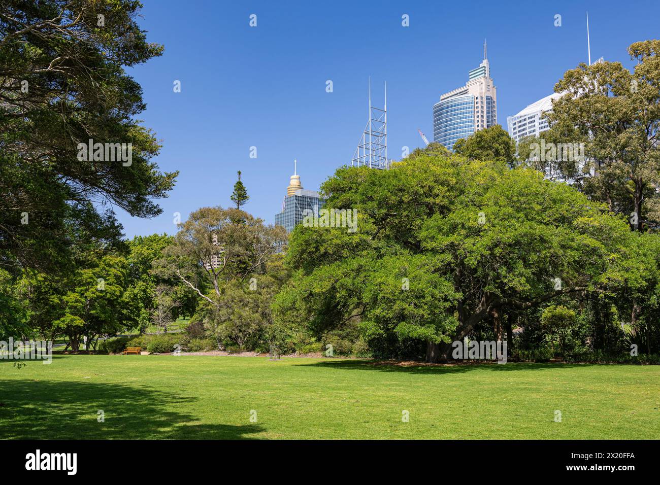 Beautifully colored flowers at the Sydney Botanical Gardens Stock Photo ...