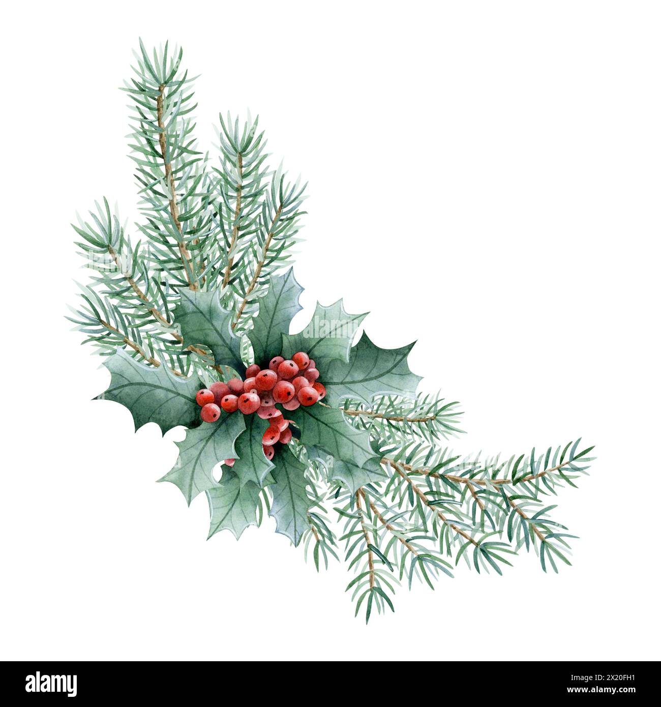 Holly tree Cut Out Stock Images & Pictures - Alamy