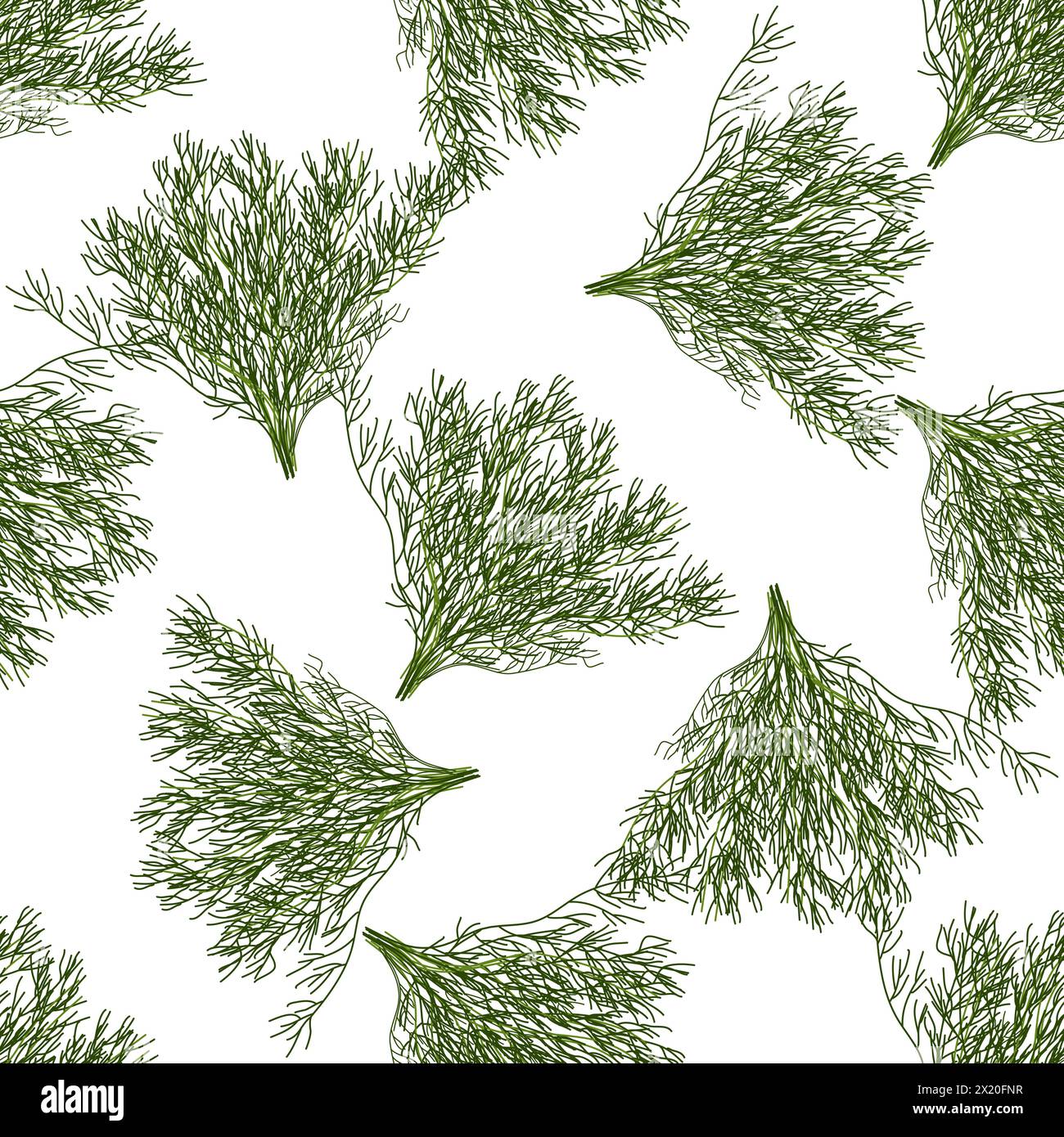 Fresh herbs and spices seasonings seamless pattern. Bunches of dill ...