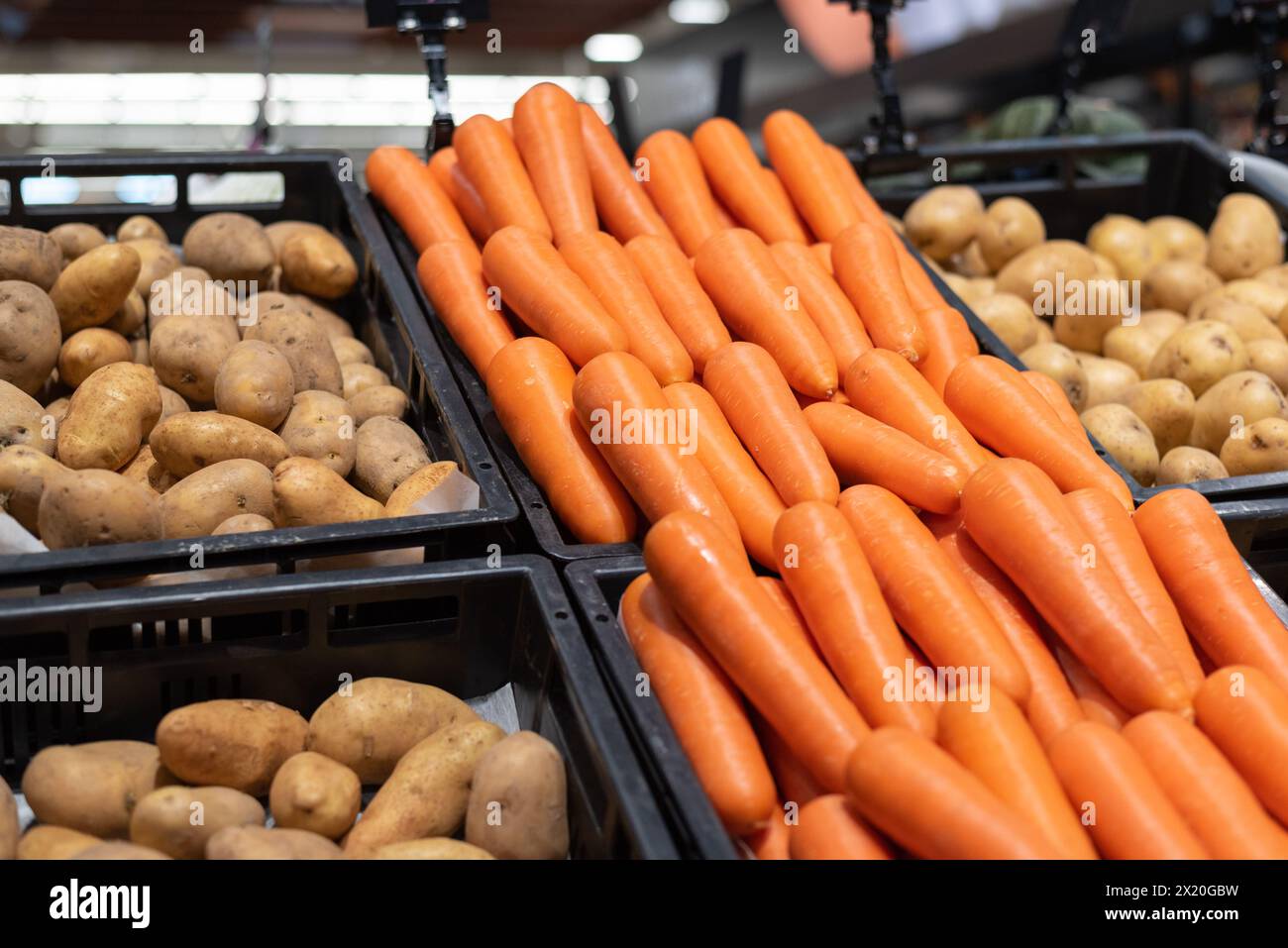 A mountain of carrots next to potatoes in the vegetable section of a ...