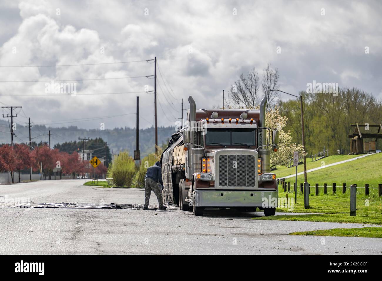 Industrial professional truck driver covering fastened lumber wood ...