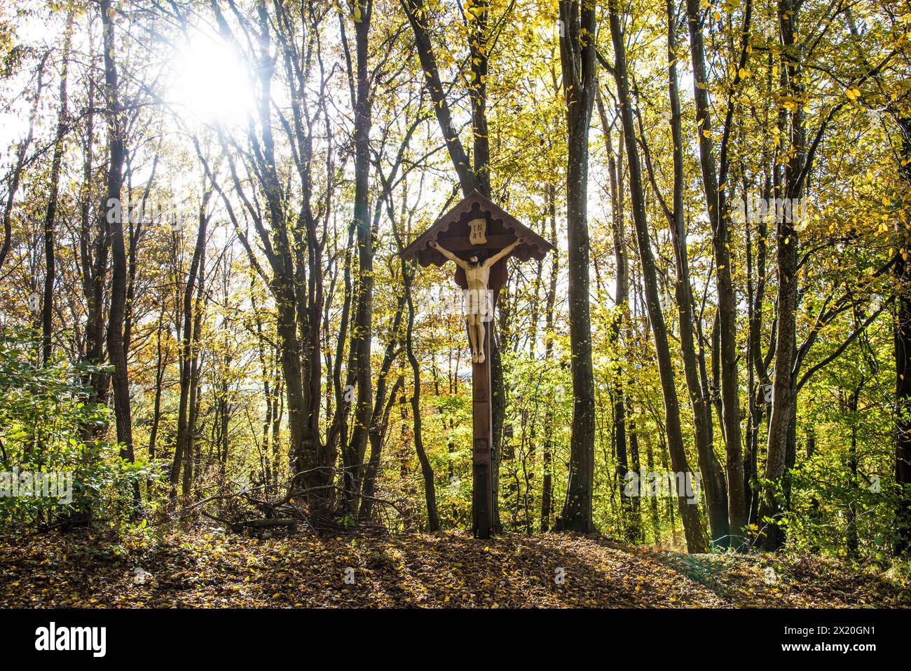 Augsburg Western Forests Nature Park, hiking area, here with Christ ...