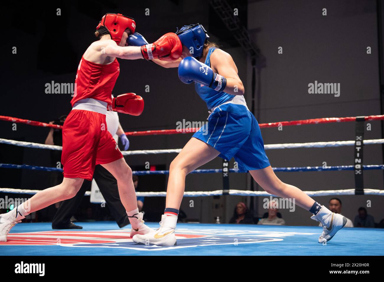 Womens amateur boxing hi-res stock photography and images - Alamy