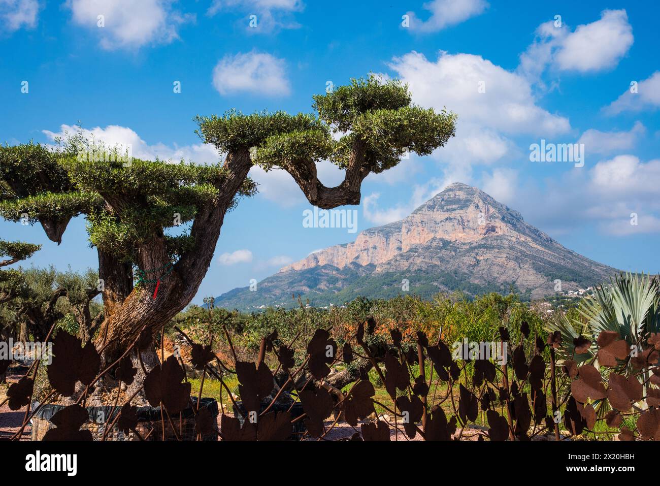 the Montgo, Spain the monolith of the Costa Blanca, rising 765 meters ...
