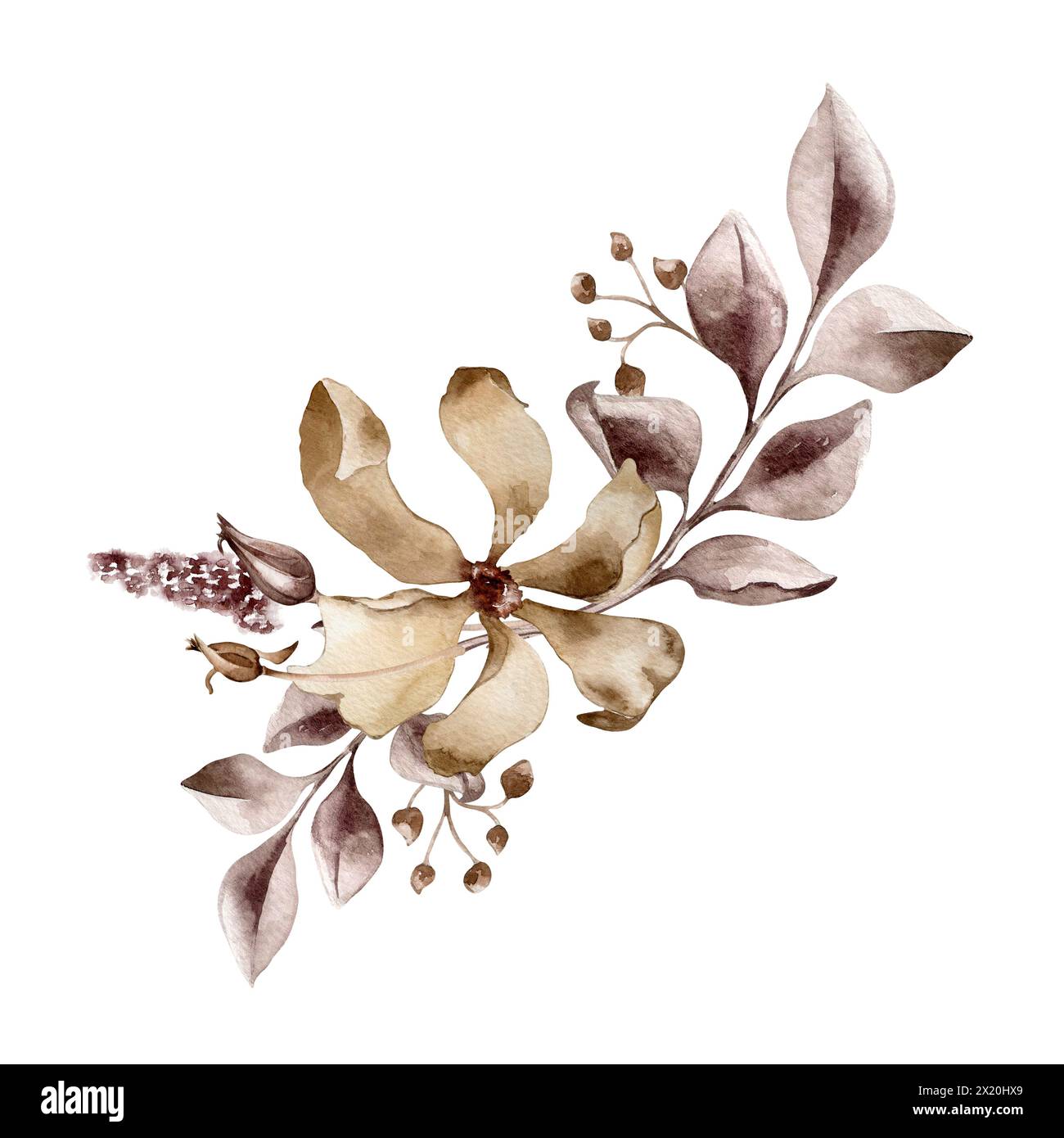 Flower and branch Monochrome arrangement in watercolor maroon color ...