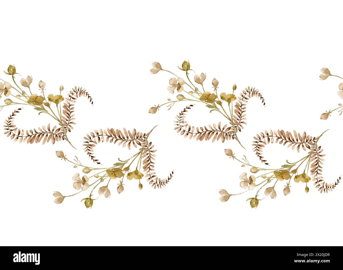 Dry flowers, fern in monochrome watercolor beige color. Abstract ...