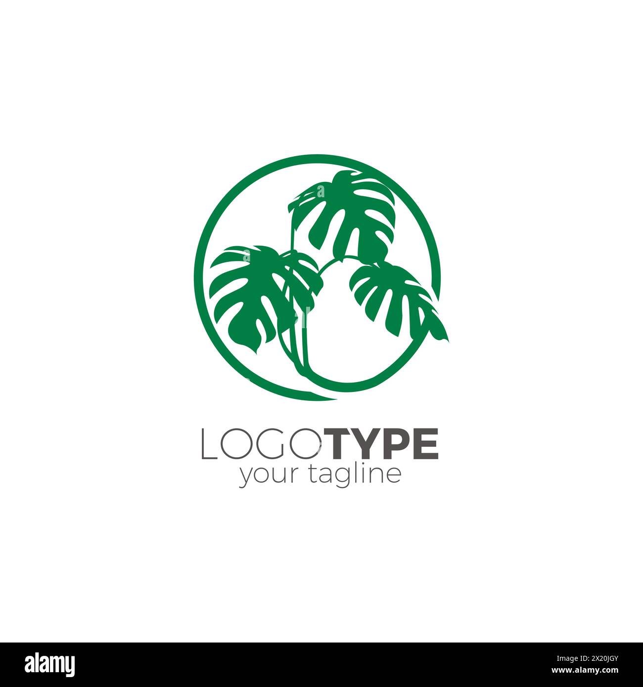Beautiful Monstera Plant Logo Design Stock Vector Image & Art - Alamy