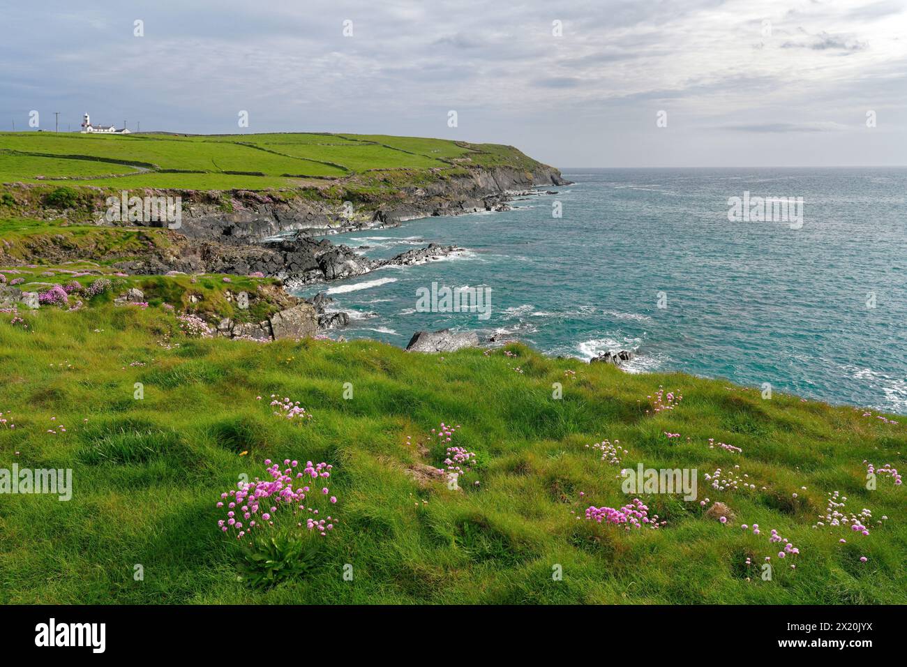 Ireland, County Cork, Dundeady Island, coast at Galley Head Lighthouse ...