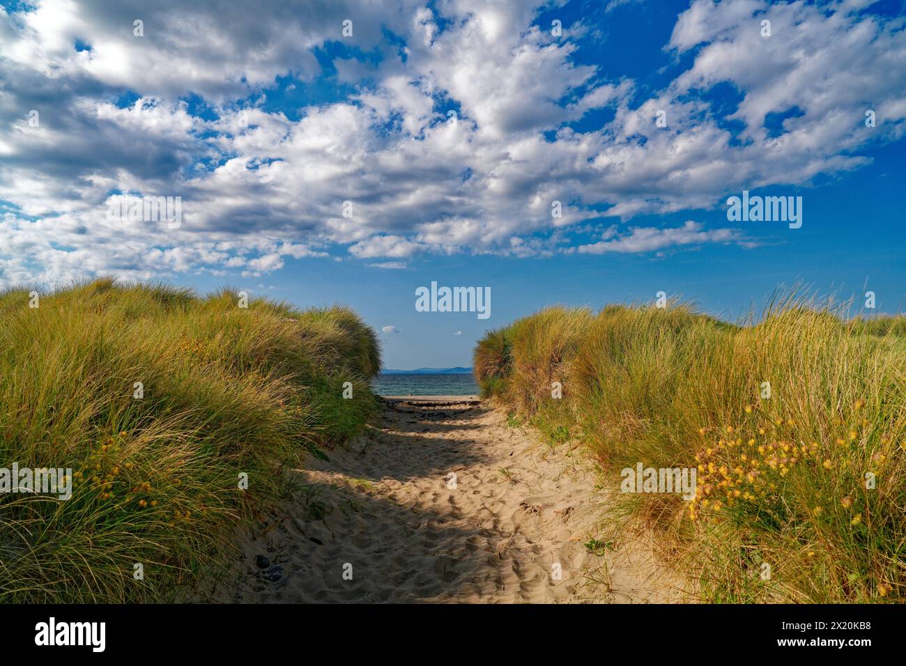 Ireland, County Sligo, dunes at Streedagh Beach Stock Photo - Alamy
