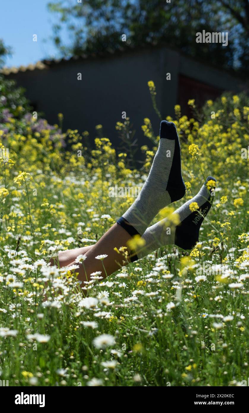 Child's feet with socks in a spring flower field Stock Photo - Alamy