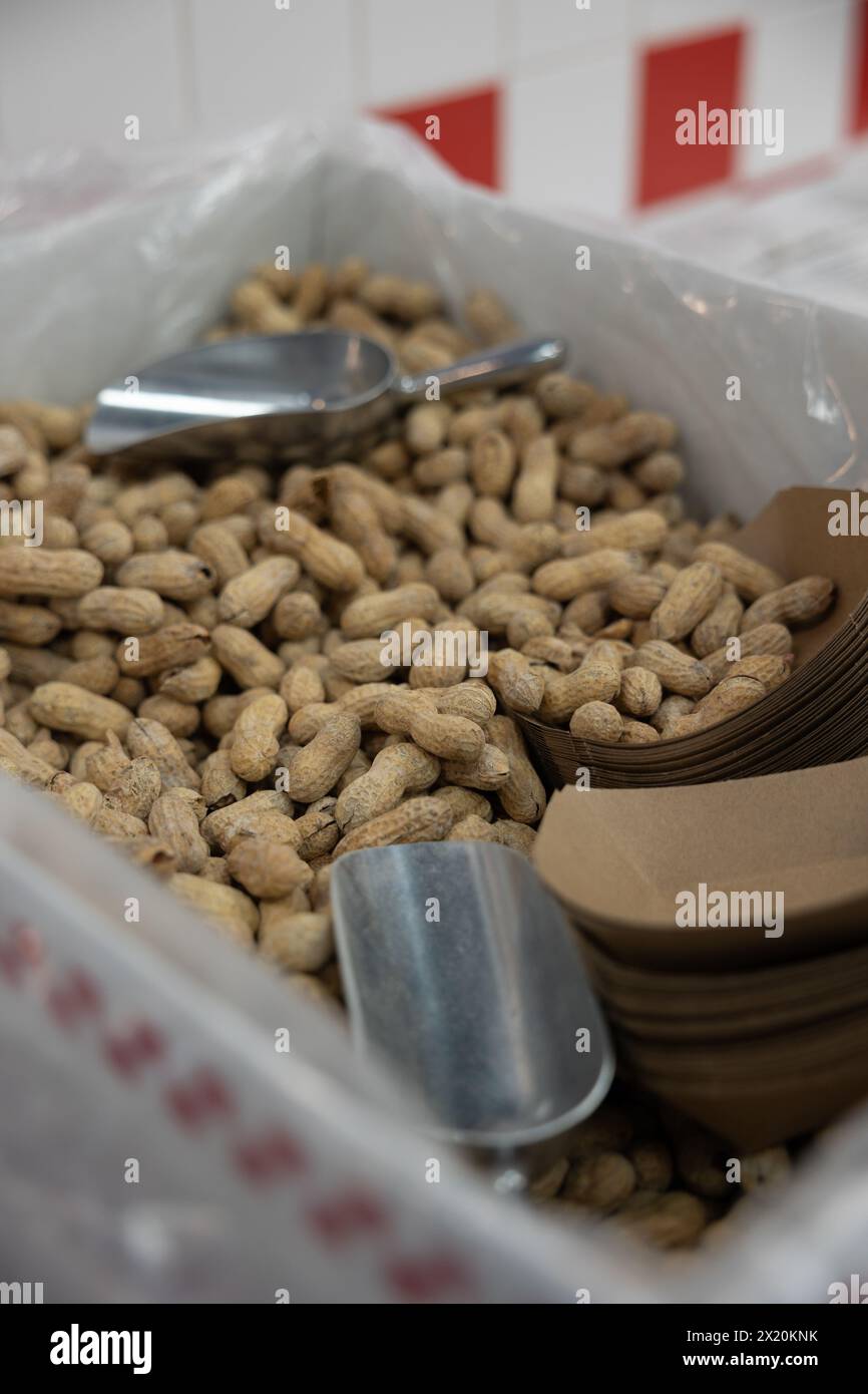 Fresh peanuts with shells box.Iron spatula for set of peanuts.Elephant ...