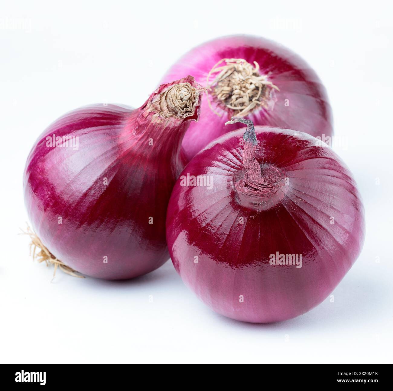onion isolated white background Stock Photo - Alamy