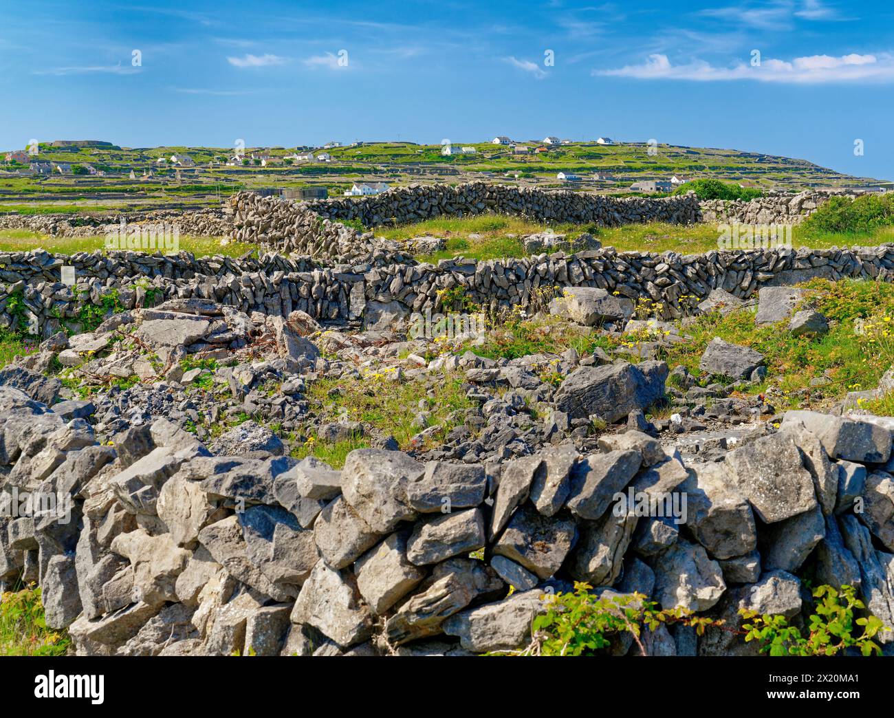 Ireland, County Galway, Aran Islands, Inishmaan Island, stone walls ...