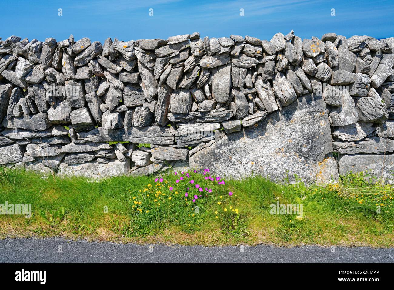 Ireland, County Galway, Aran Islands, Inishmaan Island, stone walls ...