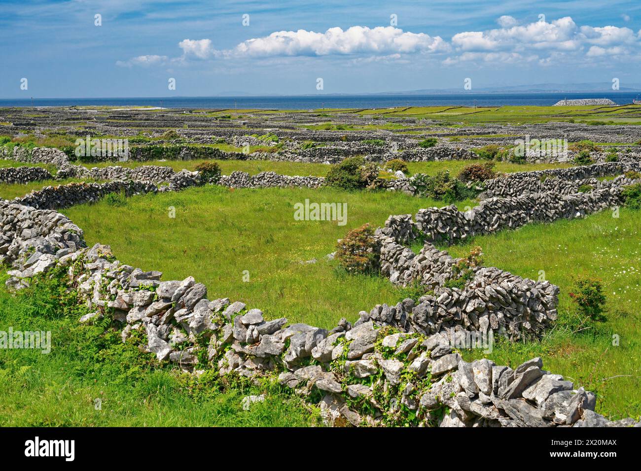 Ireland, County Galway, Aran Islands, Inishmaan Island, stone walls ...