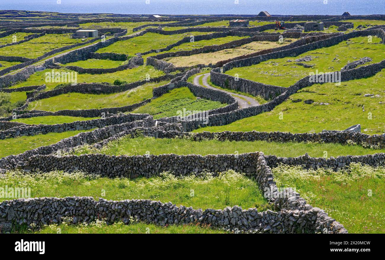 Ireland, County Galway, Aran Islands, Inishmaan Island, stone walls ...