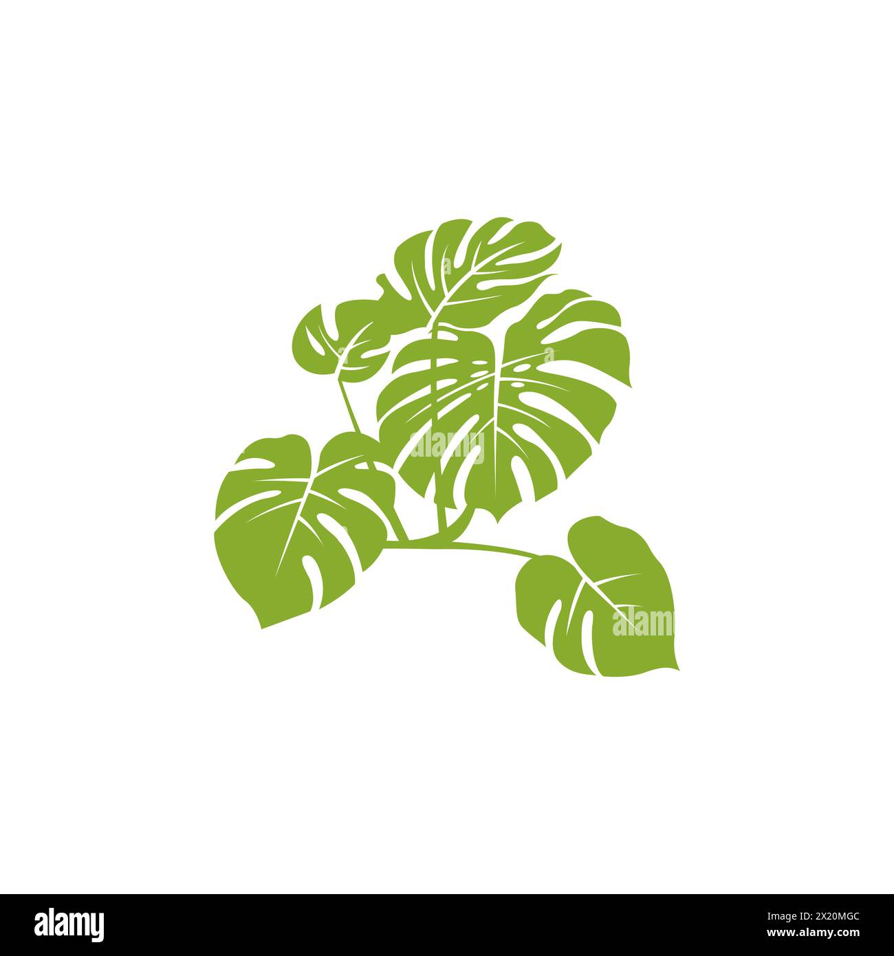 Monstera Leaf Vector, Monstera Logo Simple, Monstera Plant Illustration ...