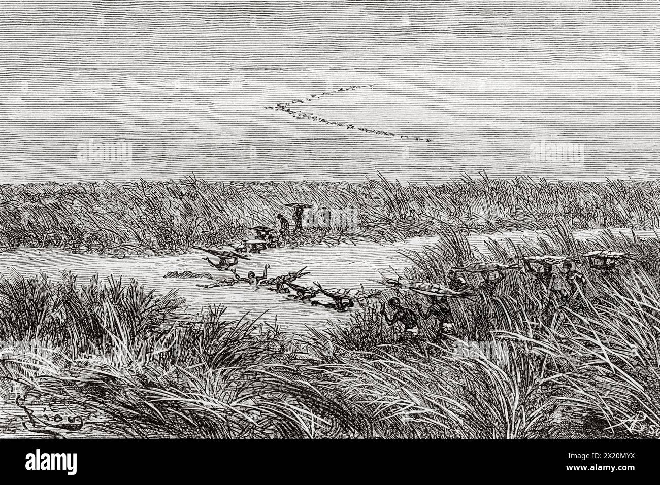 The expedition crossing a river, Tanzania, East Africa. Drawing by ...