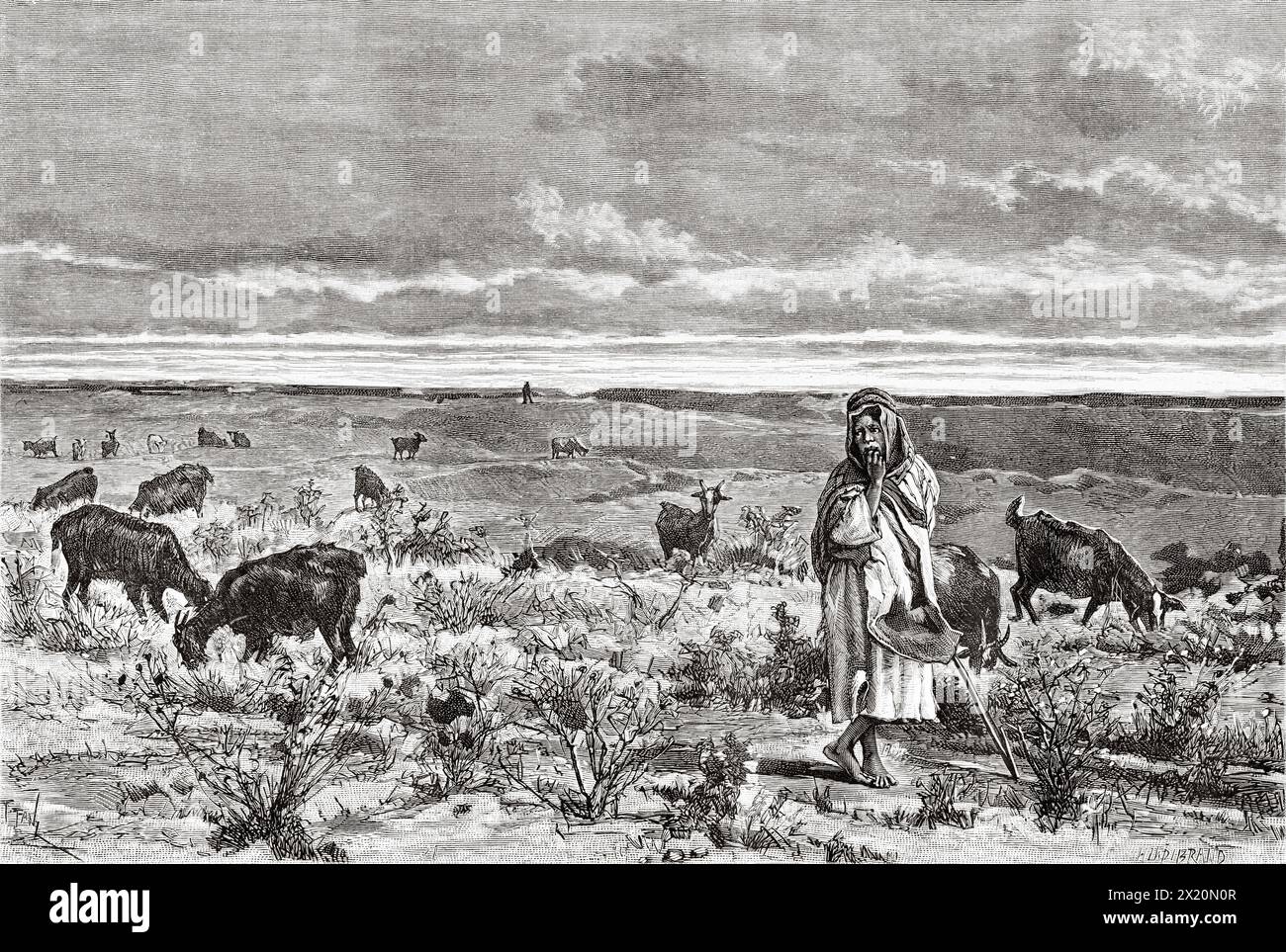 Shepherd tending his flock on the ruins of Babylon, Iraq. Middle East ...