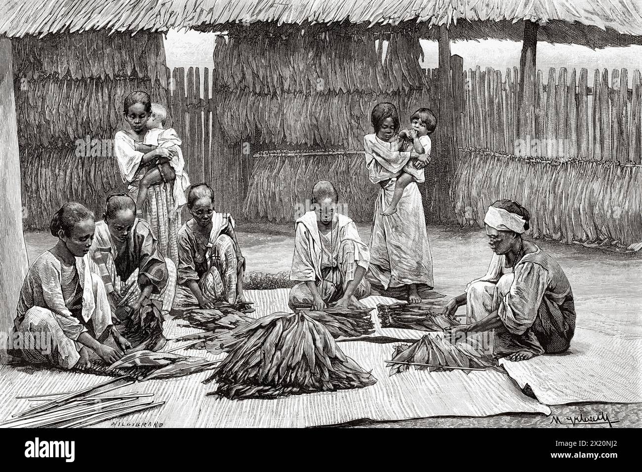 Indigenous natives of the island of Luzon making tobacco, Luzon Island ...