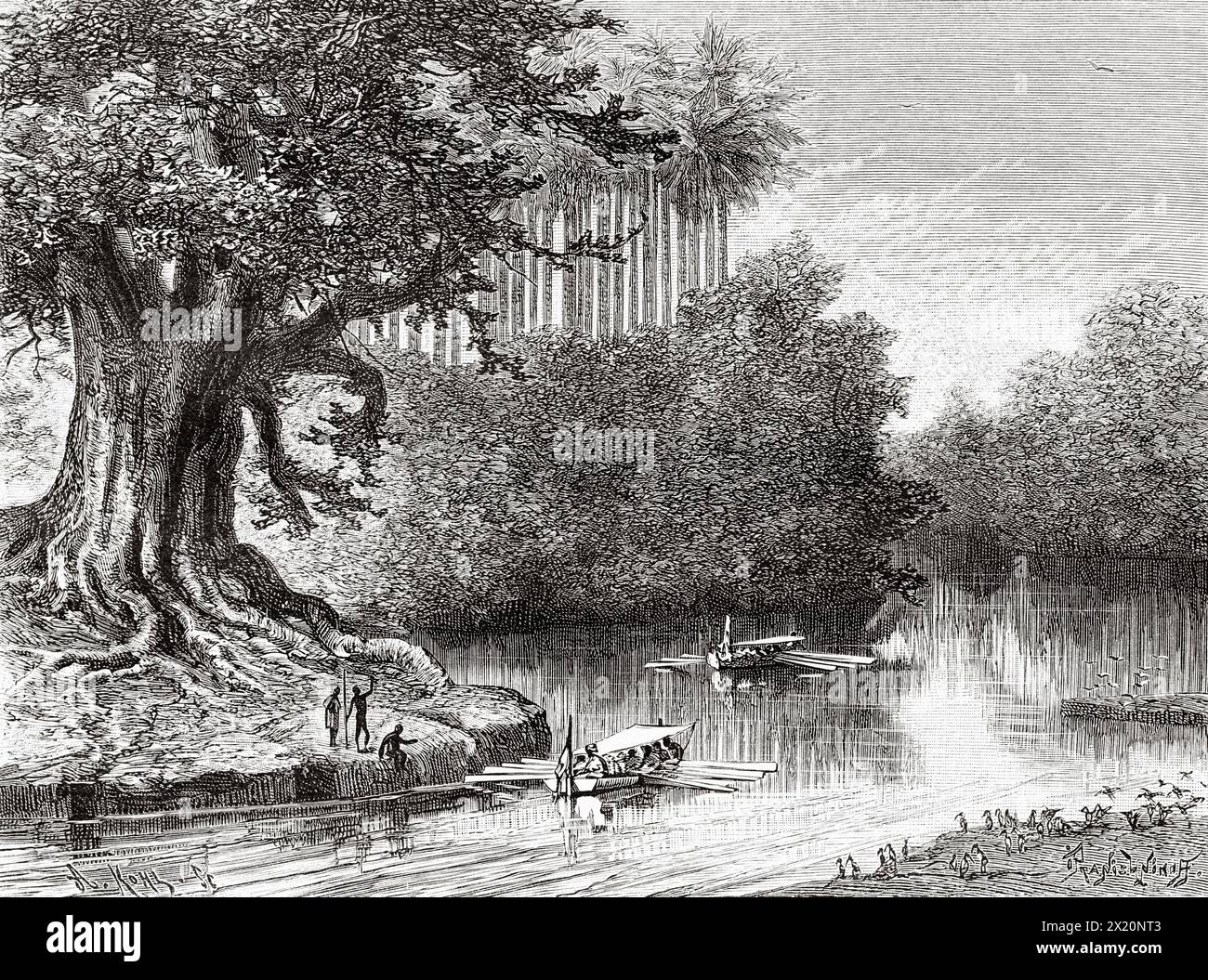 Africa guinea baga hi-res stock photography and images - Alamy