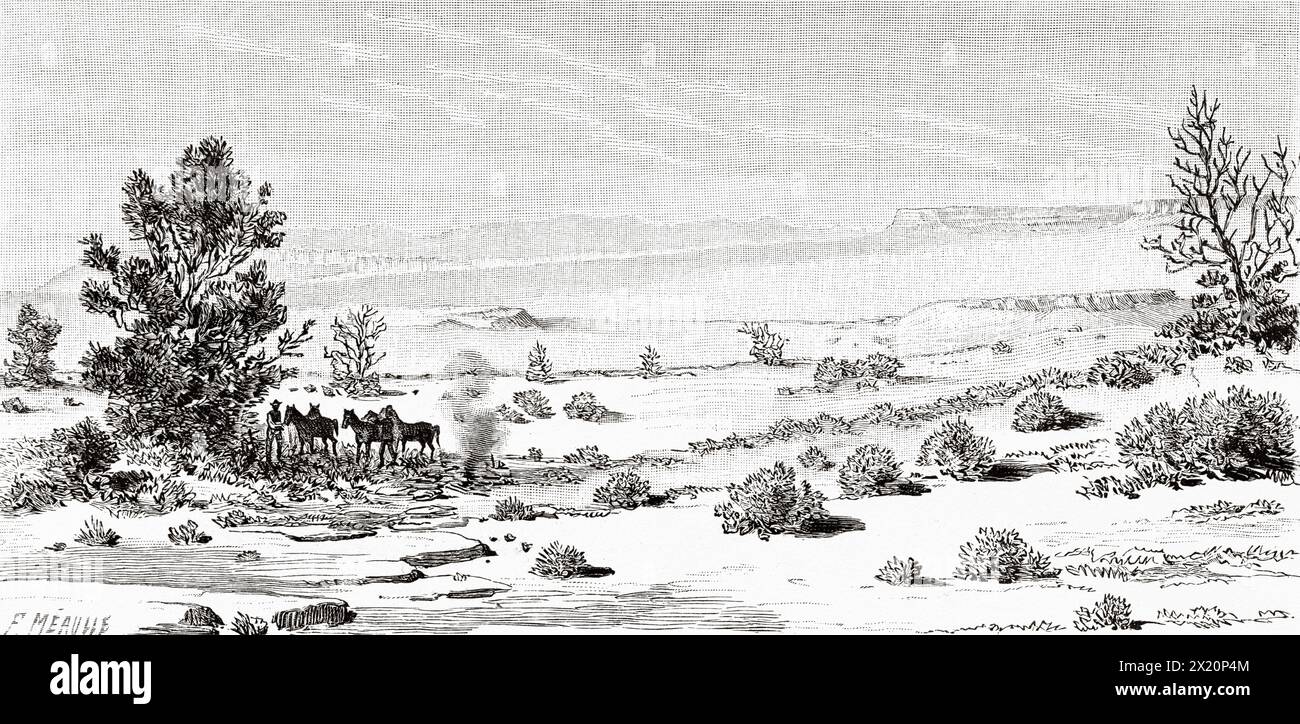 Herd of mustang horses in the Utah desert. United States. Drawing by ...