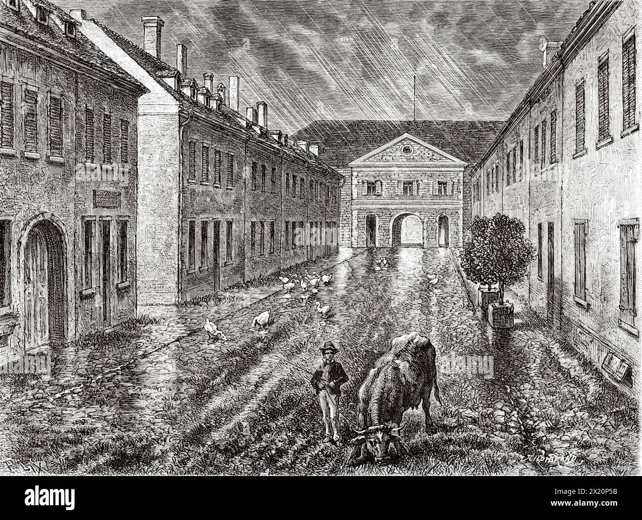 Cow farmer 1800s hi-res stock photography and images - Alamy