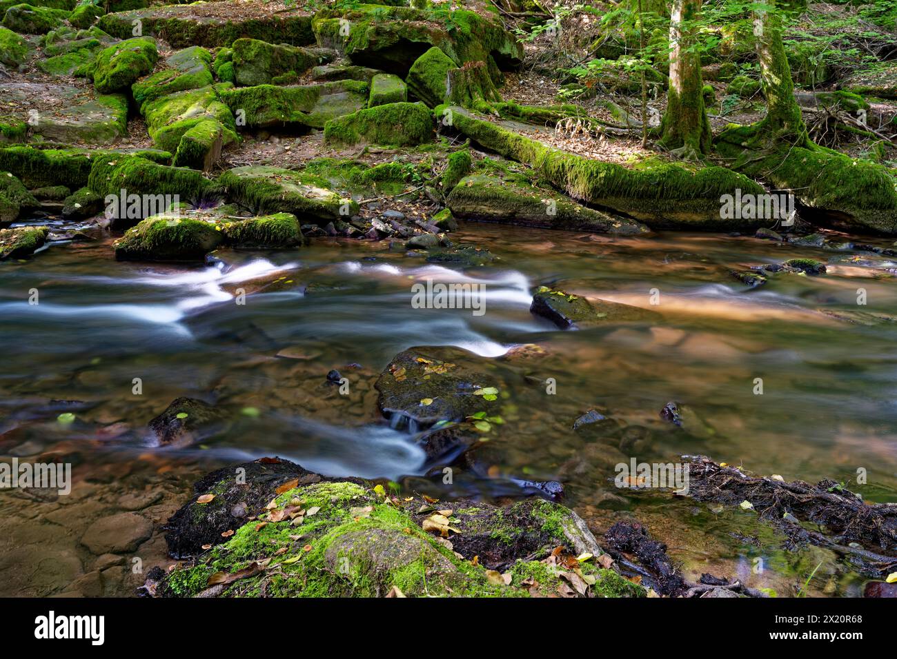 The course of the Thulba river in the core zone of the Rhön Biosphere ...