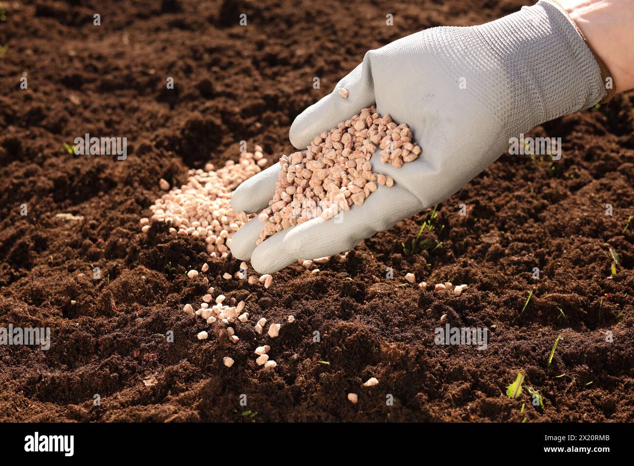 Fertilizing yard hi-res stock photography and images - Alamy