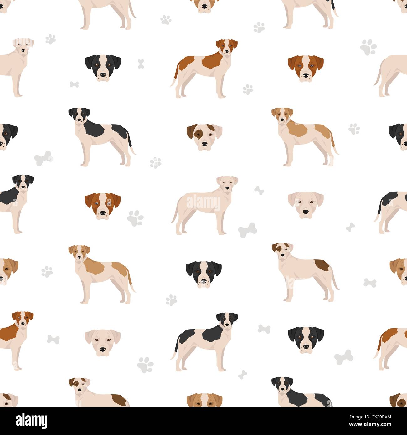 Bull Arab seamless pattern. Different coat colors and poses set. Vector ...