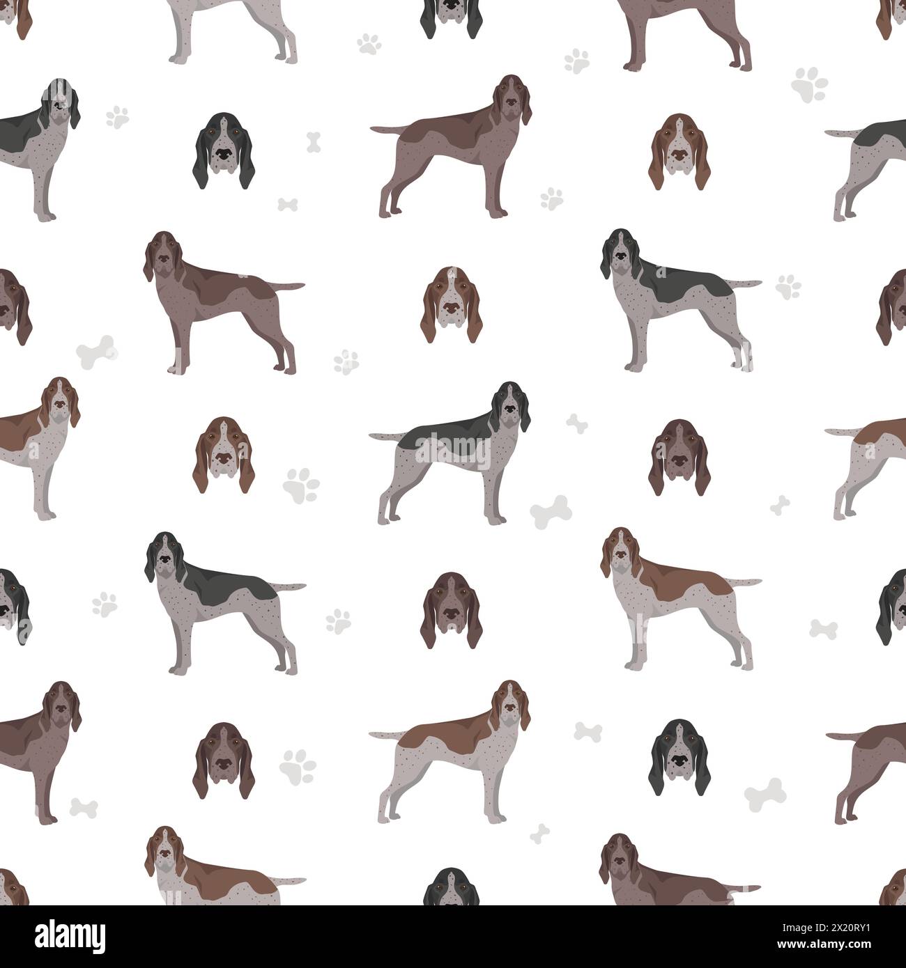 Burgos Pointer seamless pattern. Different coat colors and poses set ...